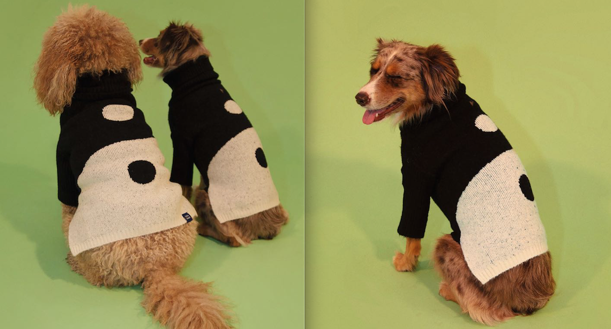 El diseño de indumentaria para perros es ¡el mejor amigo de la moda ...